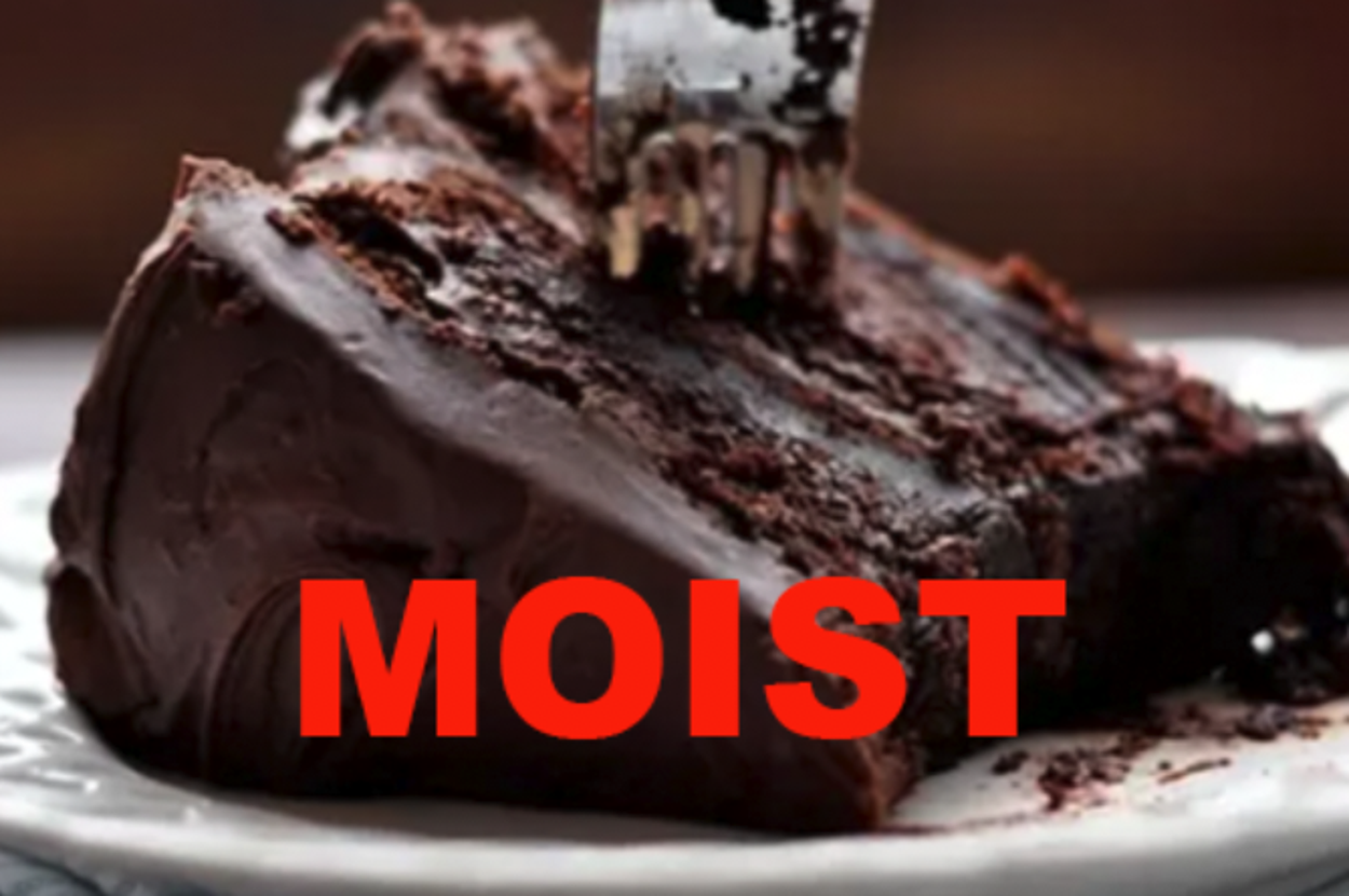 Why Moist Is The Worst Word Ever
