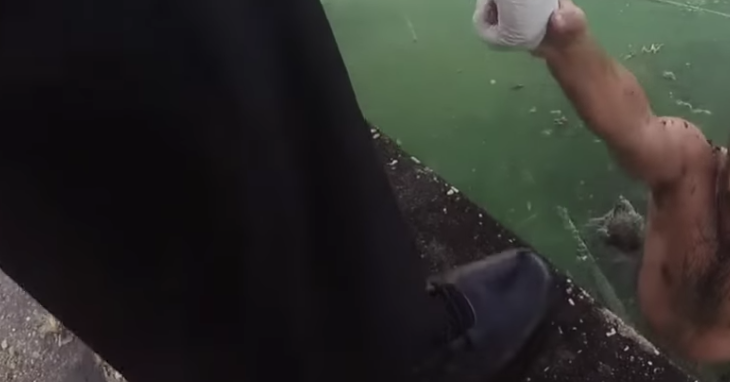 This Man Jumped In A Canal To Escape Police, But Toxic Algae Had Him ...