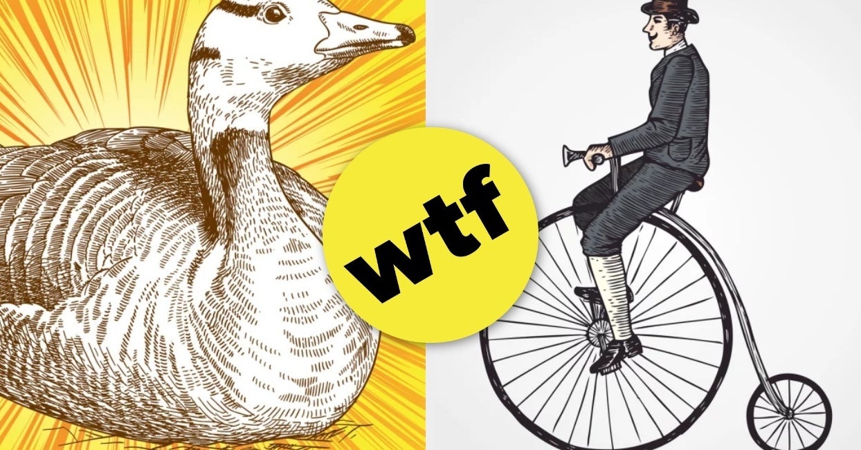 This Bizarre Pictures Quiz Will Reveal What You're Made Out Of