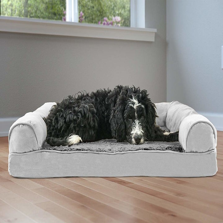The Ultimate Guide To Products You'll Need To Care For Your First Dog