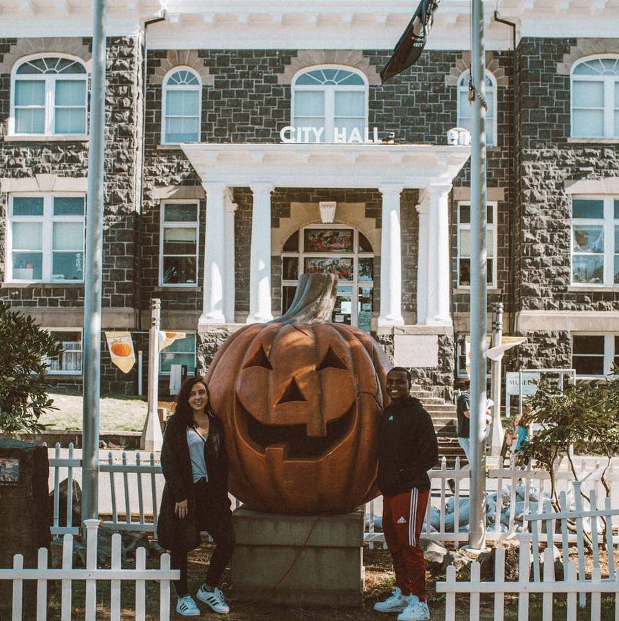halloween film town