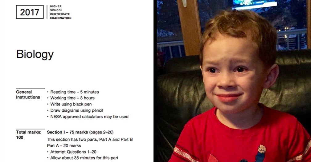 Let's Test Your Biology Knowledge And See If You Can Pass This High ...