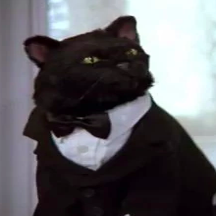 Salem The Cat Walked The "Chilling Adventures Of Sabrina" Red Carpet ...
