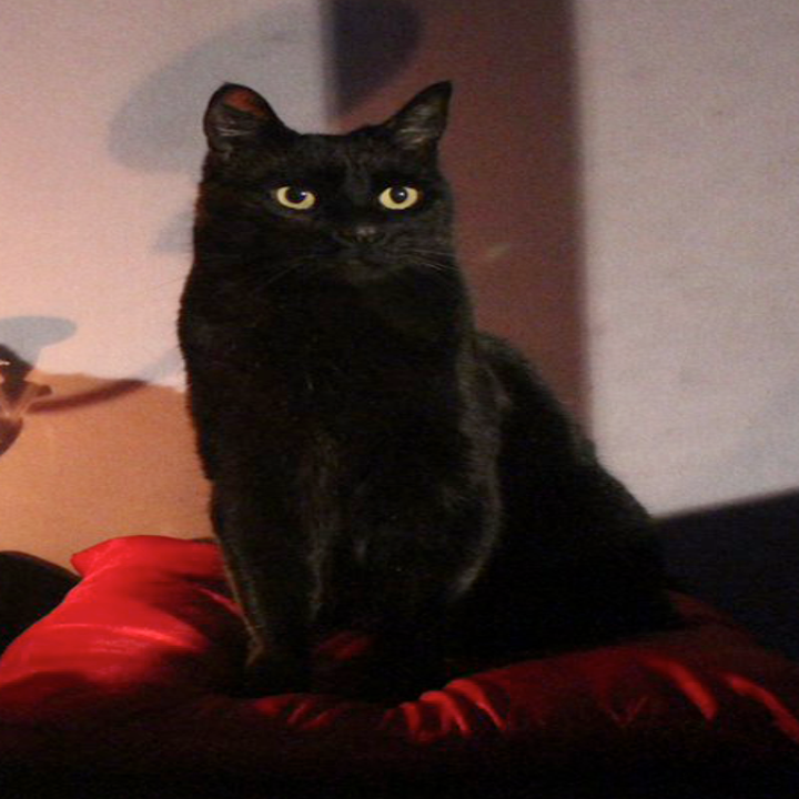 Here's What The New "Sabrina" Cast Look Like Compared To The '90s Sitcom