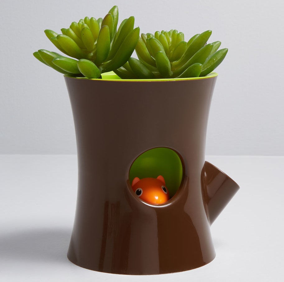 33 Cool And Random Things You Can Probably Afford