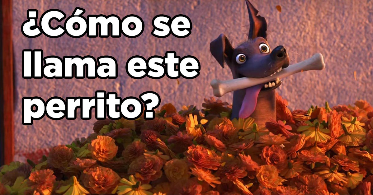 Sólo un verdadero fan sacará 10 de 10 en este quiz de 'Coco'