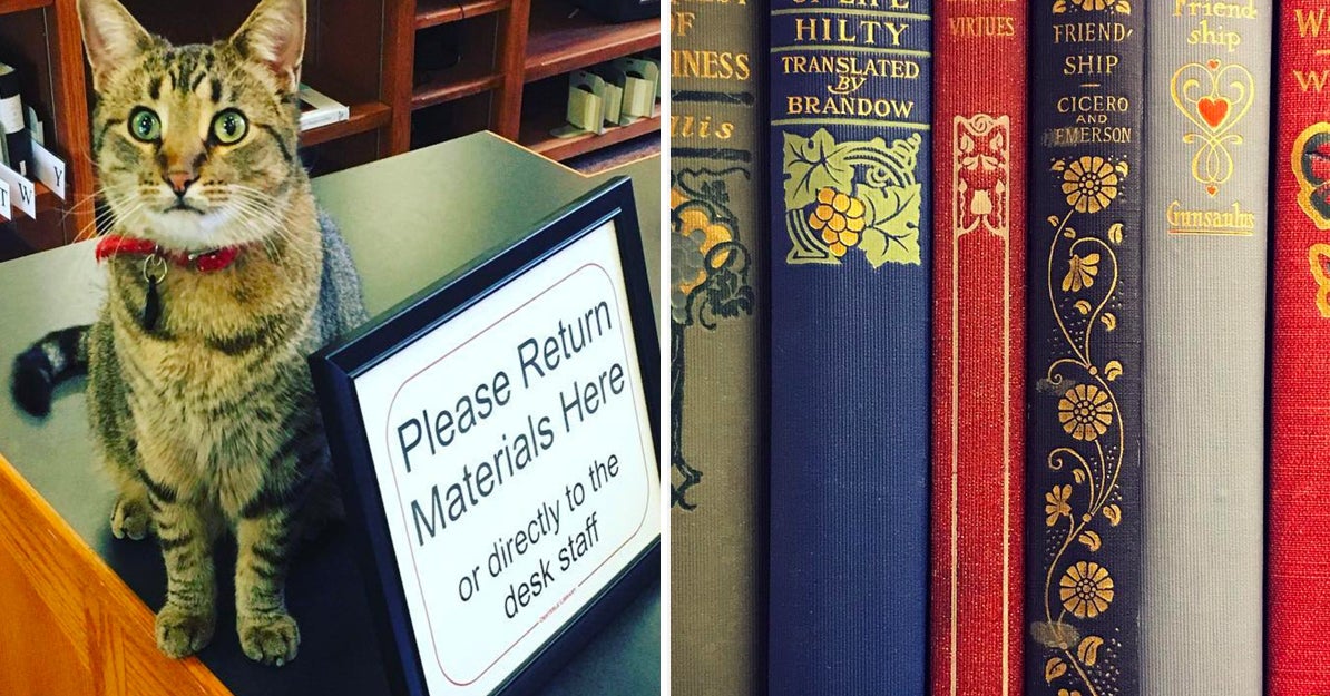 13 Libraries Book Lovers Need To Follow On Instagram