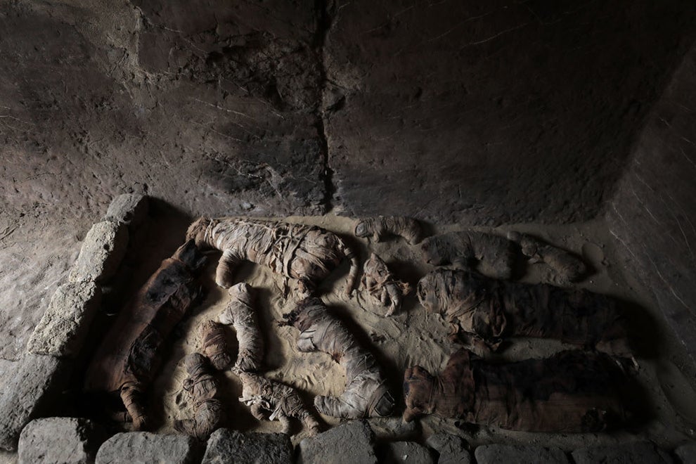 A Tomb Full Of Mummified Cats Has Been Discovered In Egypt