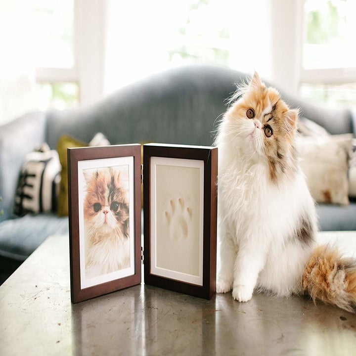 21 Products You Need If You're Obsessed With Your Pet