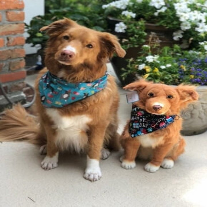 Just 34 Of The Cutest Products With Dogs On Them