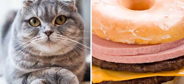 The Best BuzzFeed Quizzes From This Week