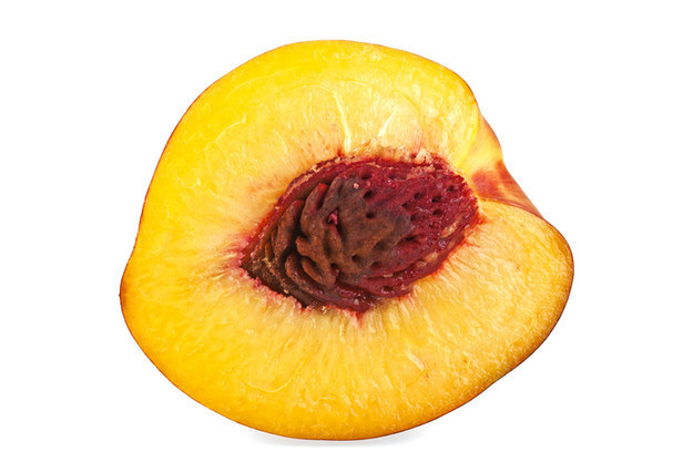 Tell Us How You Feel About Pit Bulls And We'll Give A Food Recommendation