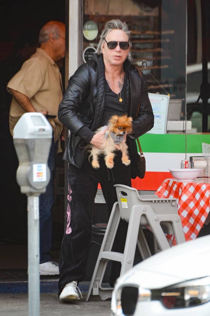 Mickey Rourke Went On A Hot Date With His Dog But Then Paparazzi Ruined ...
