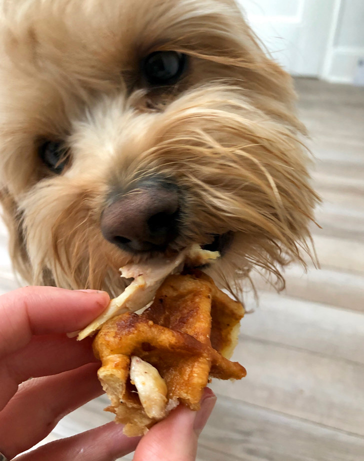 We Taste Tested KFC's New Fried Chicken And Waffles