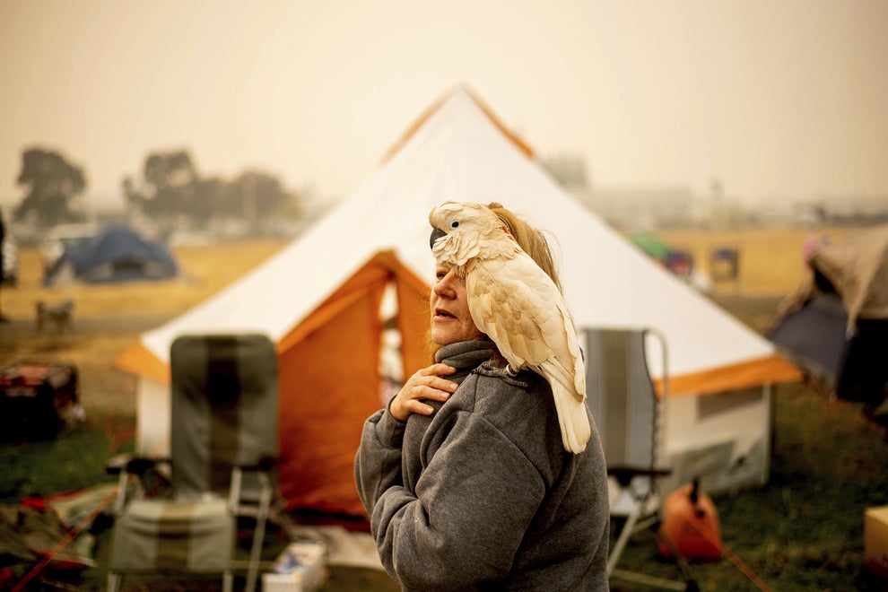 California Camp Fire Now 100% Contained After Wildfire Death Toll Rises ...