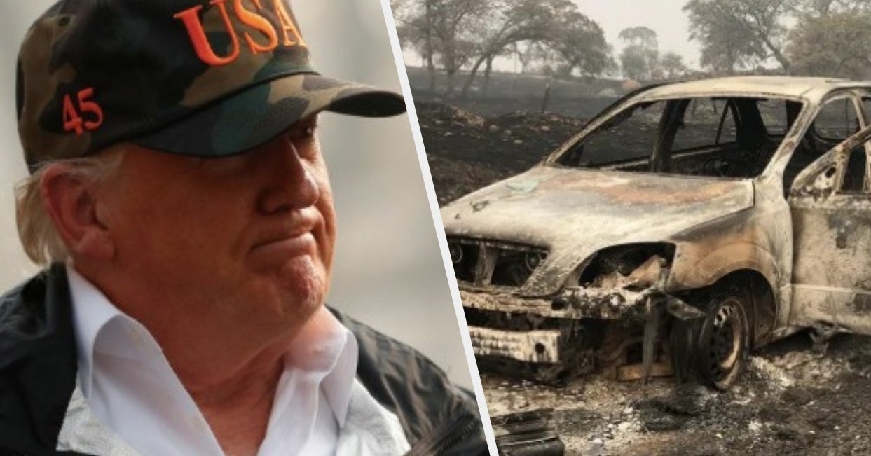 People In Finland Are Confused By Trump Saying They Rake Their Forests