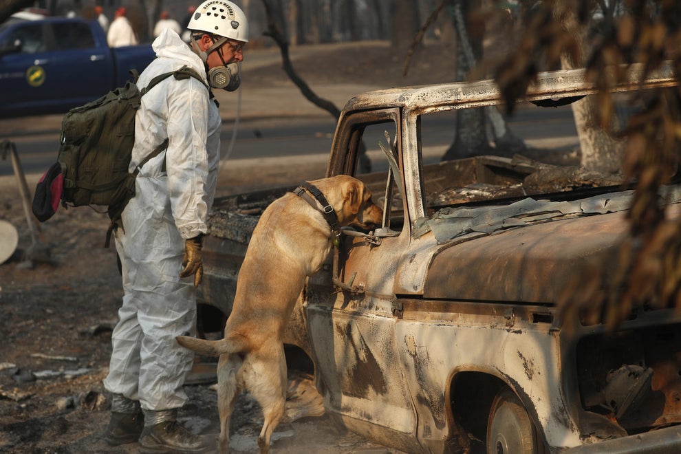 California Camp Fire Now 100% Contained After Wildfire Death Toll Rises ...