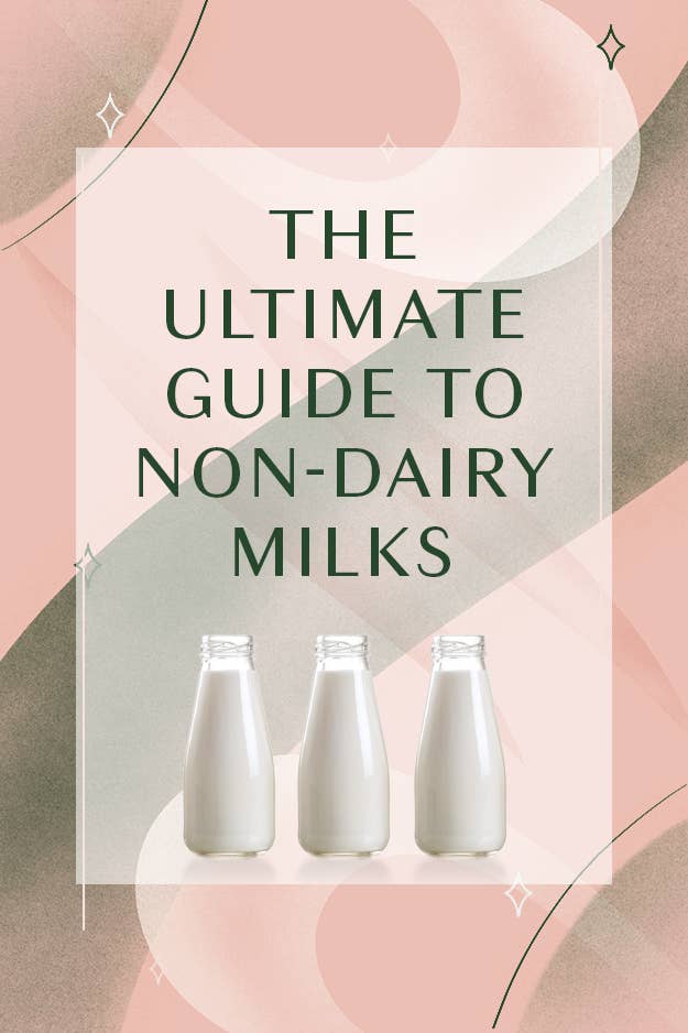 Here's Everything You Need To Know About Dairy-Free Milk Alternatives