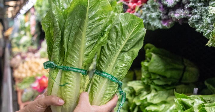 The CDC Says Romaine Lettuce Is Not Safe To Eat Due To A New E. Coli ...