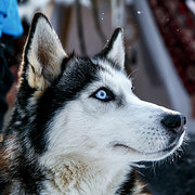 We Can Guess If You're An Introvert Or Extrovert Based On Your Taste In ...