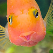 We Can Guess If You're An Introvert Or Extrovert Based On Your Taste In ...