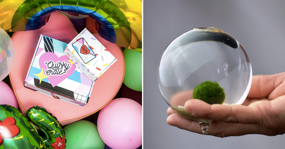 33 Quirky Gifts For Your Most Interesting Friends