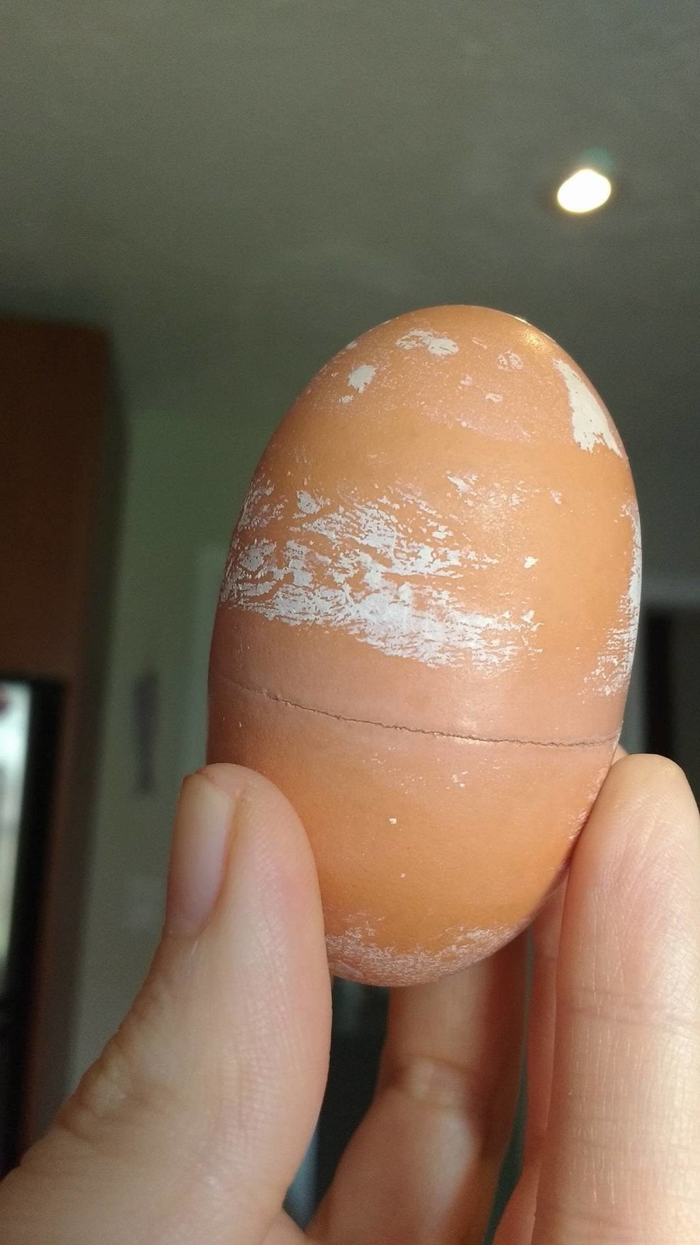 These Eggs Are Weird