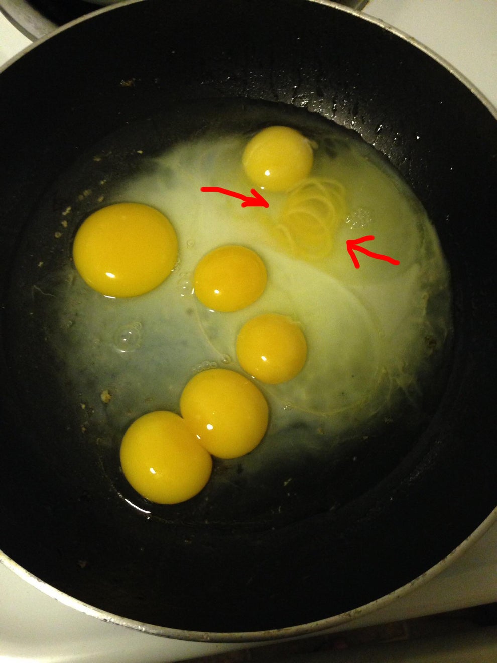 These Eggs Are Weird