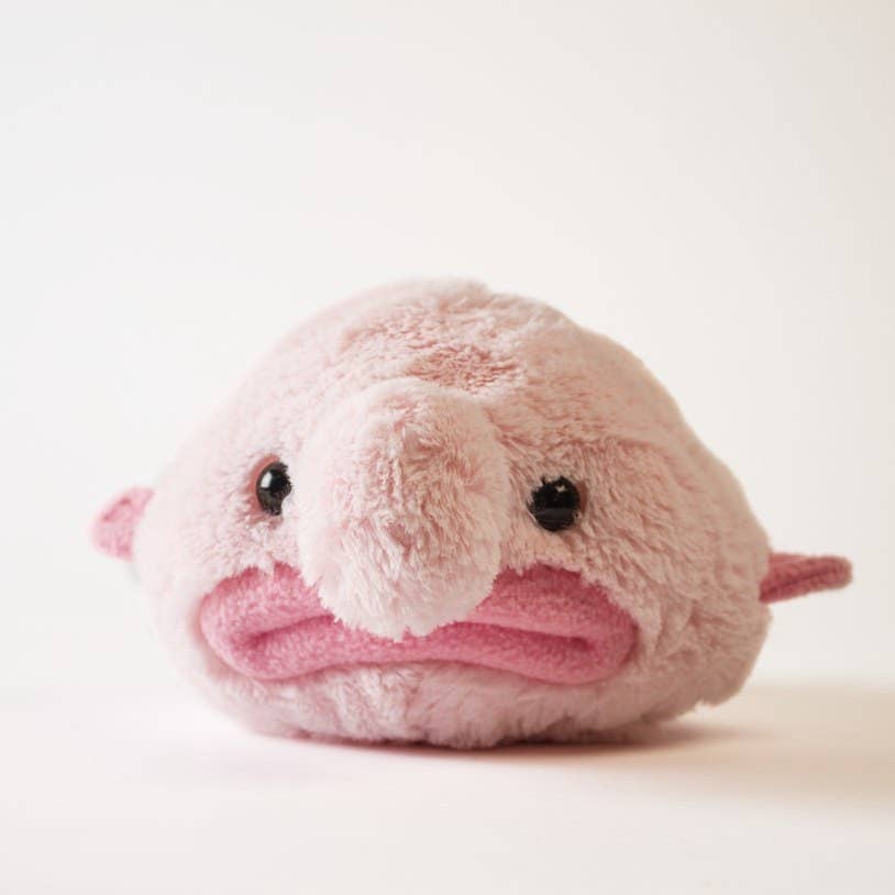Ziggy Blobfish