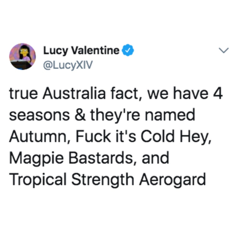 100 Of The Best Australian Memes Of 2018
