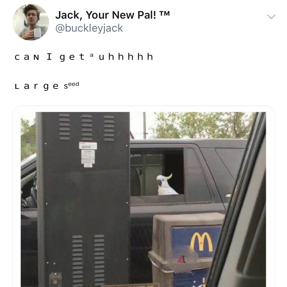 100 Of The Best Australian Memes Of 2018