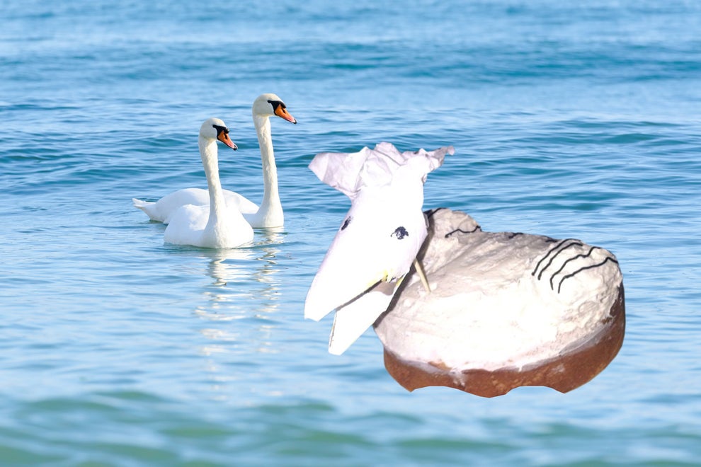 100 Weird, Random, And Slightly Messed-Up Things I've Photoshopped