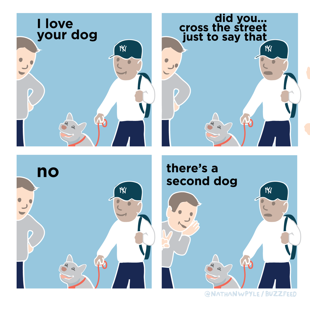 122 Funny Dog Memes That'll Make You Bark With Laughter