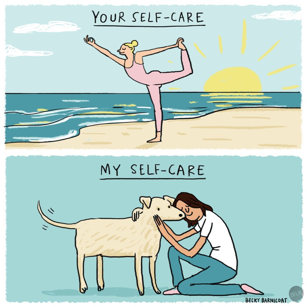 122 Funny Dog Memes That'll Make You Bark With Laughter