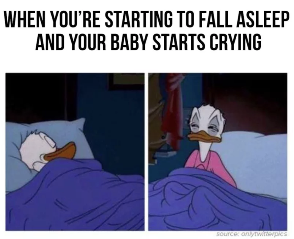 25 Baby Memes New Parents Will Laugh At For Days