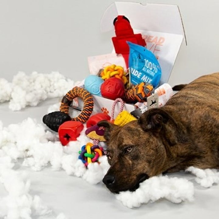 29 Subscriptions That'll Make 2019 So Much Better