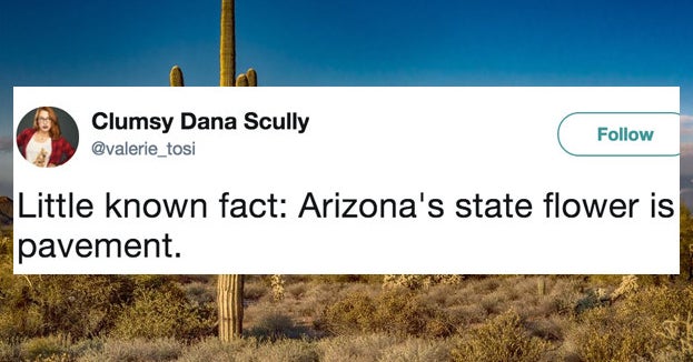 18 Jokes People Who Live In Arizona Will Deeply Connect With