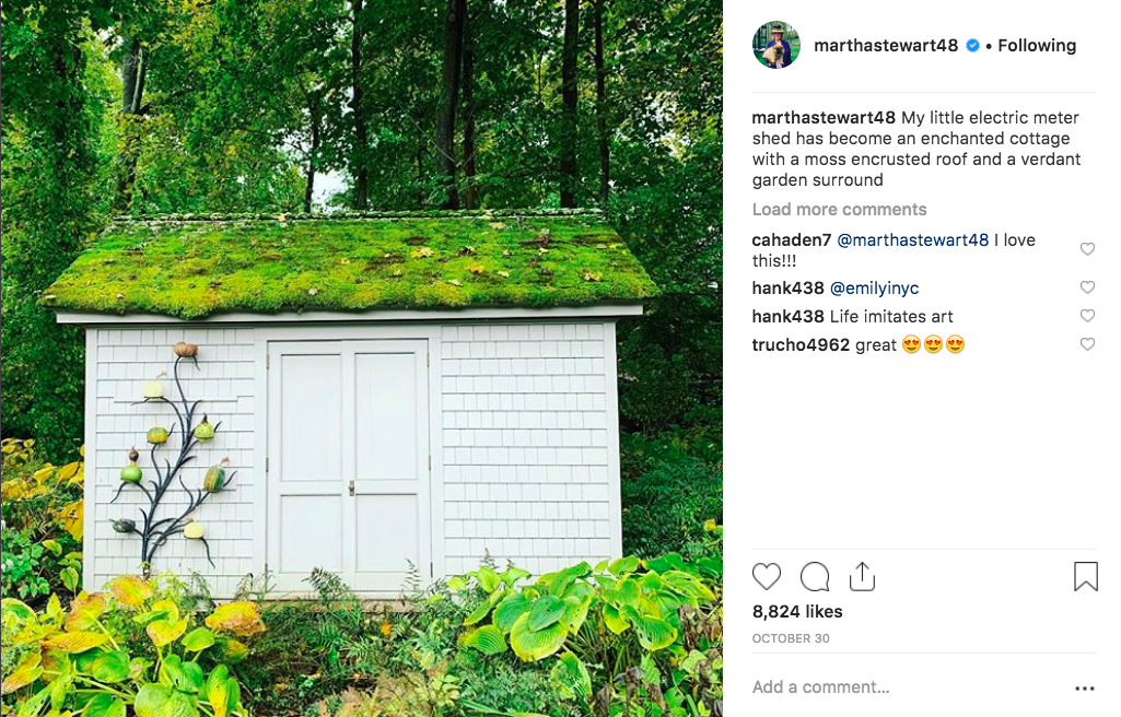 13 Times Martha Stewart Was Secretly The Shadiest Lady On Instagram