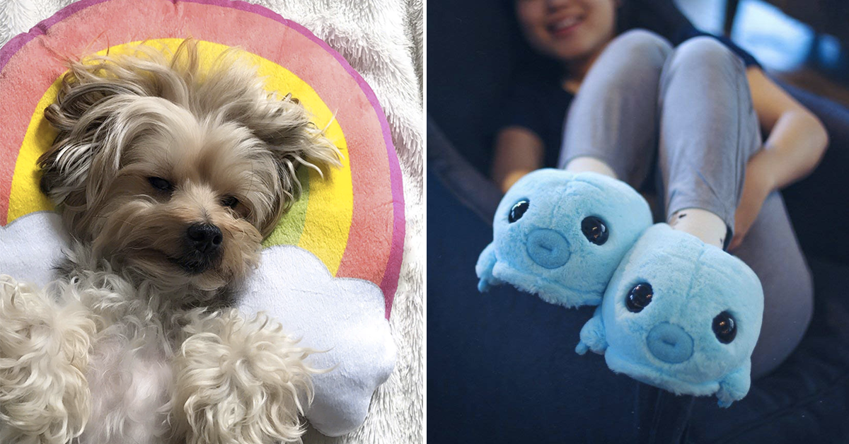 33 Adorable Products That Will Make 2019 The Cutest Year Ever