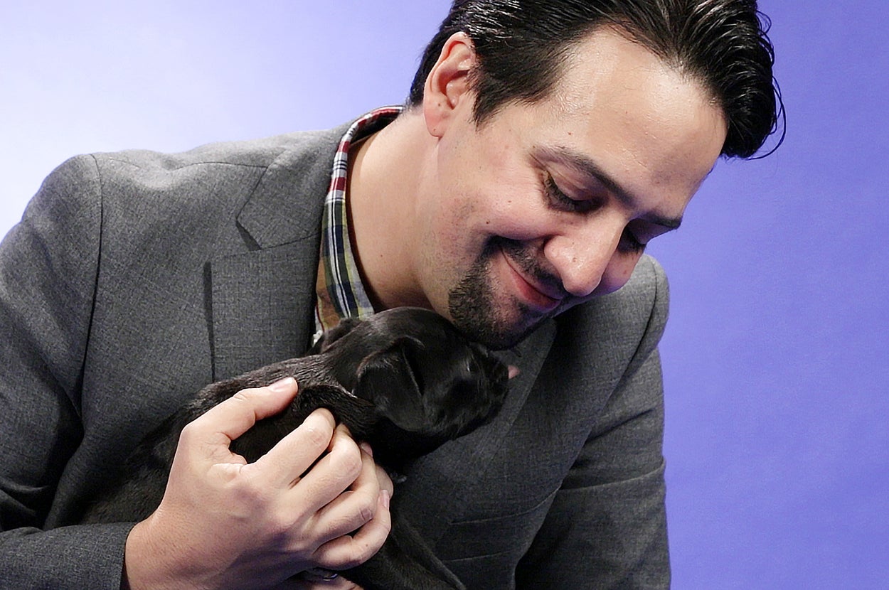 Puppy Interview