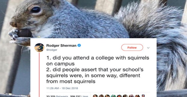 A Thread About Squirrels On College Campuses Totally Blew Up On Twitter