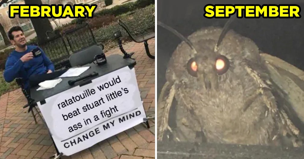 Here's A Month-By-Month Breakdown Of The 12 Best Memes Of 2018