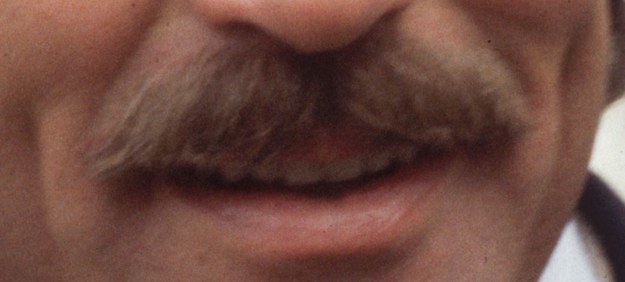 Can You Guess The Famous Mustache?