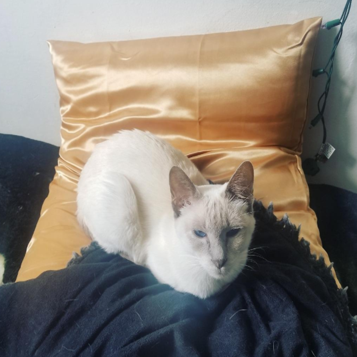 42 Inexpensive Products That Are Totally Worth A Couple Of Bucks