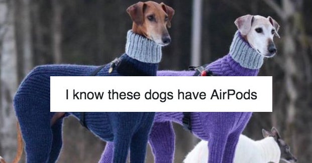 21 Funny AirPods Memes