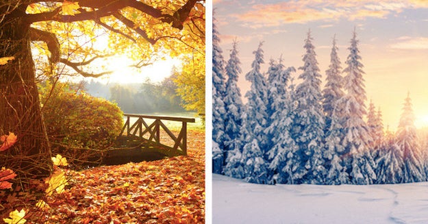 We Can Guess Your Favorite Season With 100% Accuracy Based On Your ...