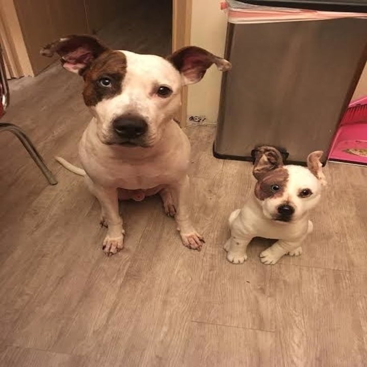 Here Are All The Products We Loved In 2018