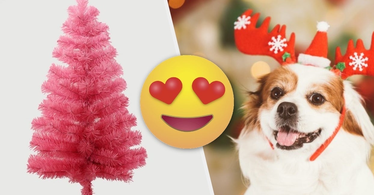 Decorate For The Holidays And We’ll Give Your Dog A Festive Nickname