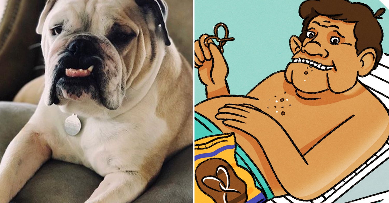 Dogs Reimagined As People