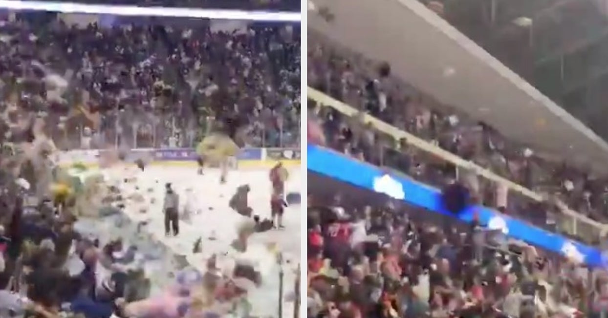 Fans Threw Almost 35,000 Stuffed Animals During A Live Hockey Game, And ...